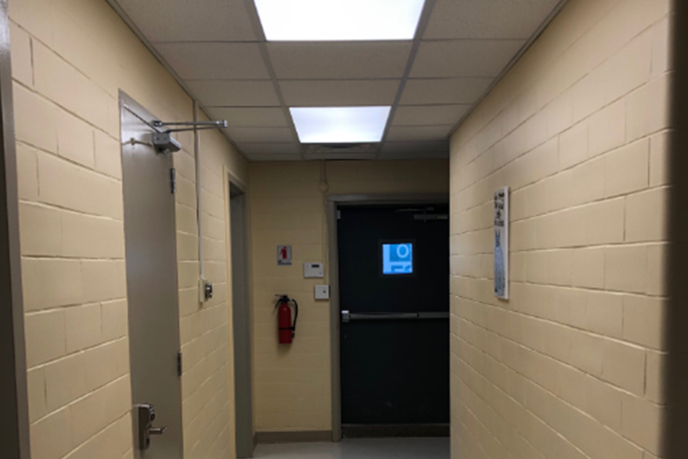 Team - Vet in Rochester | Midtown Veterinary Hospital