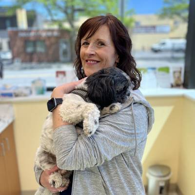 Team - Vet in Rochester | Midtown Veterinary Hospital